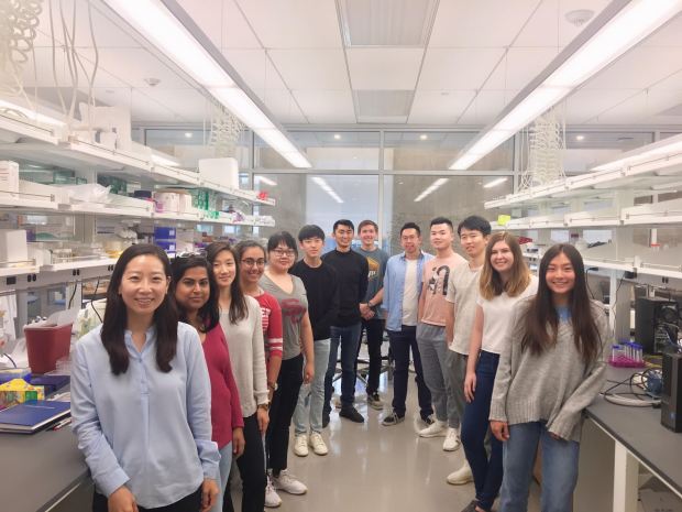 People – The Chung Laboratory